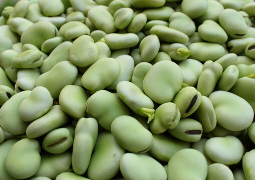 Fave Images – Browse 2,931 Stock Photos, Vectors, and Video | Adobe Stock