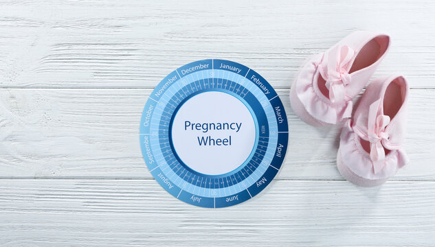 "Pregnancy Wheel" Imagens – Procure 80 fotos, vetores e vídeos | Adobe ...