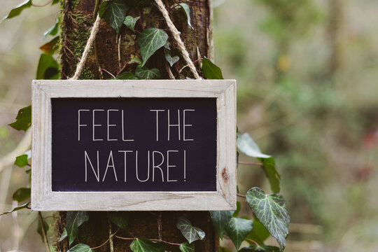 "Feel The Nature" Images – Browse 73 Stock Photos, Vectors, and Video ...