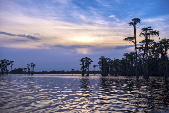 "Banks Lake" Images – Browse 141 Stock Photos, Vectors, and Video ...