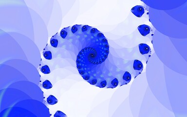 Natural Fibonacci photos, royalty-free images, graphics, vectors ...