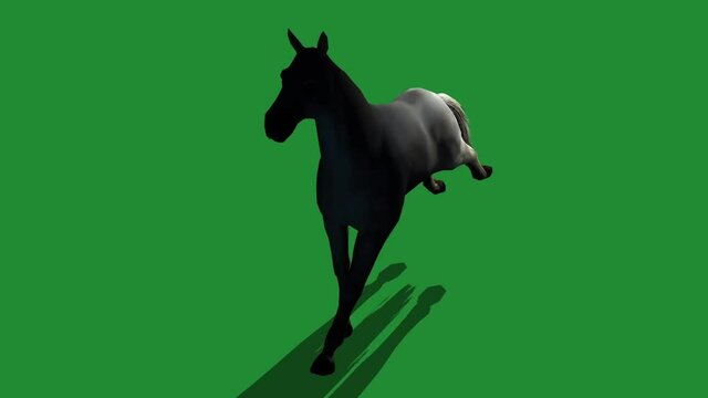 Obrázky Mare-Beast – procházejte fotografie, vektory a videa 78 | Adobe ...