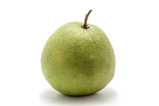 รูปภาพPomela – เลือกดูภาพถ่ายสต็อก เวกเตอร์ และวิดีโอ568 | Adobe Stock