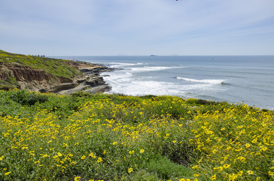 "Point Loma" Images – Browse 2,013 Stock Photos, Vectors, and Video ...