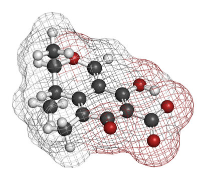 Citrinine Imagens – Procure 17 fotos, vetores e vídeos | Adobe Stock