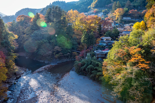 「Tama」の画像 - 2,726 件の Stock 写真、ベクターおよびビデオ | Adobe Stock