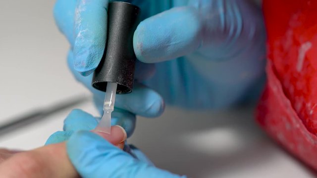 Shilak Bilder – Durchsuchen 36 Archivfotos, Vektorgrafiken und Videos ...