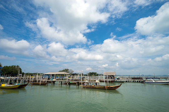 Imágenes de Piai: descubre bancos de fotos, ilustraciones, vectores y ...