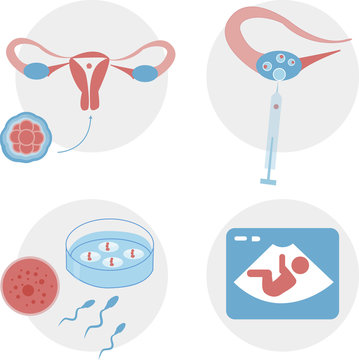 Ptoto Images – Browse 59 Stock Photos, Vectors, and Video | Adobe Stock