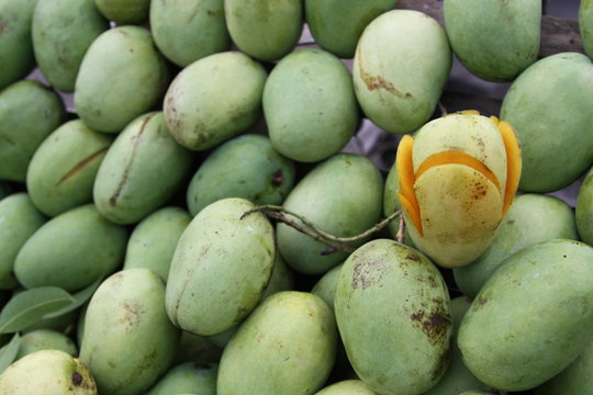 Mangga bilder – Bläddra bland 415 stockfoton, vektorer och videor ...