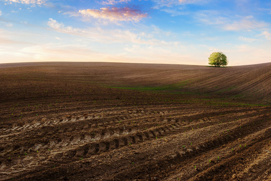Plough-Land Bilder – Durchsuchen 222 Archivfotos, Vektorgrafiken und ...