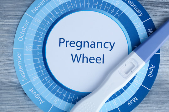 "Pregnancy Wheel" Imagens – Procure 84 fotos, vetores e vídeos | Adobe ...