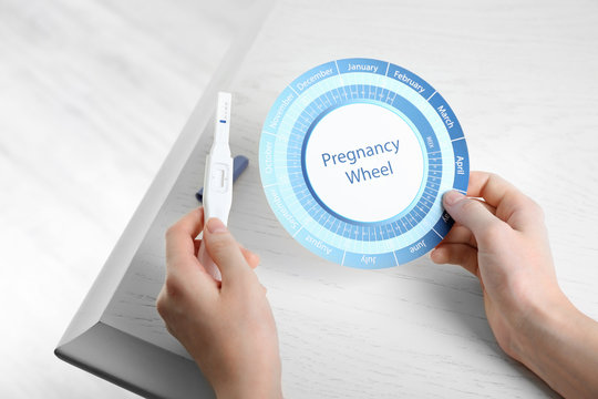 "Pregnancy Wheel"-Bilder: Stock-Fotos & -Videos. | Adobe Stock