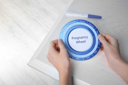 "Pregnancy Wheel"-Bilder: Stock-Fotos & -Videos. | Adobe Stock