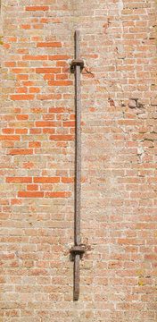 Maueranker Billeder – Gennemse 154 stockfotos, vektorer og videoer ...