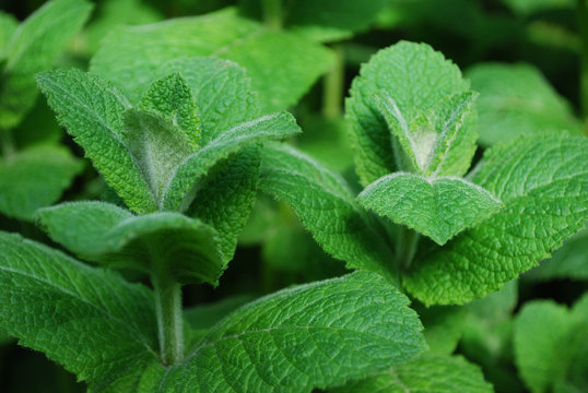 Fummeln-Bilder: Stock-Fotos & -Videos. | Adobe Stock