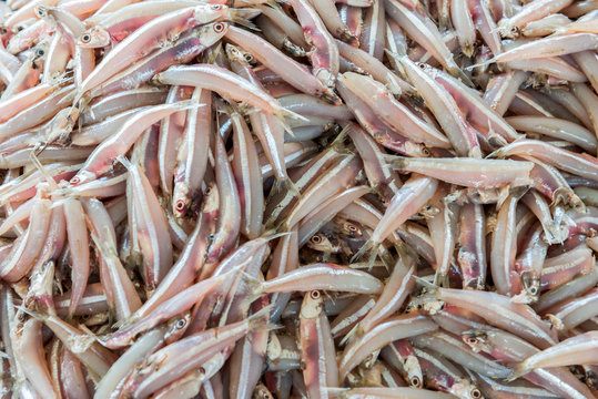 รูปภาพStynka – เลือกดูภาพถ่ายสต็อก เวกเตอร์ และวิดีโอ4 | Adobe Stock