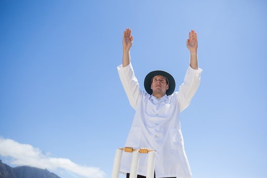 รูปภาพUmpire – เลือกดูภาพถ่ายสต็อก เวกเตอร์ และวิดีโอ798,912 | Adobe Stock