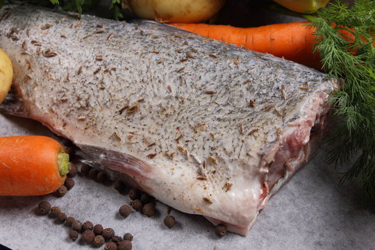 "Succulent Fish" Images – Browse 37 Stock Photos, Vectors, and Video ...