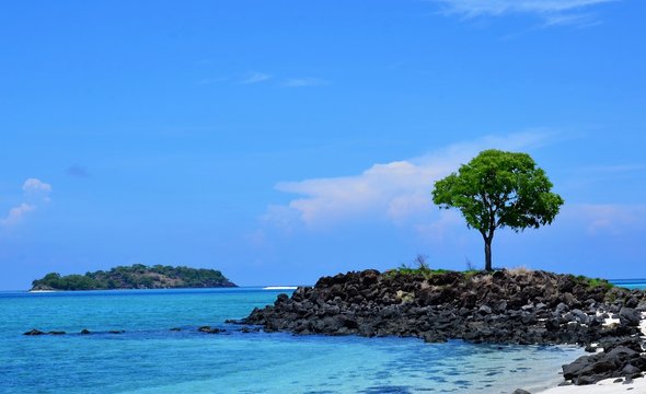 「Adonara」の写真素材 | 15件の無料イラスト画像 | Adobe Stock