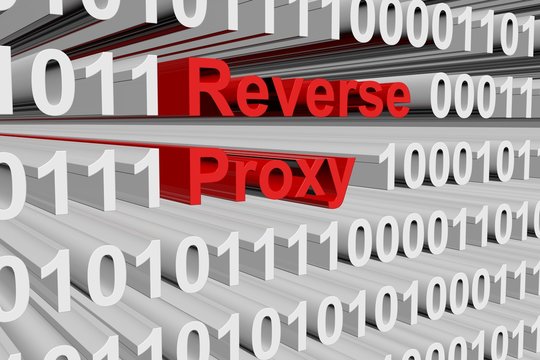 รูปภาพProxy – เลือกดูภาพถ่ายสต็อก เวกเตอร์ และวิดีโอ74,093 | Adobe Stock