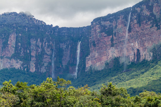 Auyantepui Images – Browse 448 Stock Photos, Vectors, and Video | Adobe ...