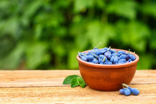 รูปภาพKinnip – เลือกดูภาพถ่ายสต็อก เวกเตอร์ และวิดีโอ3,266 | Adobe Stock