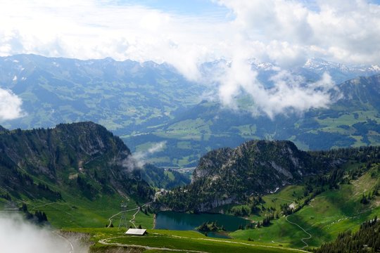 Simme bilder – Bläddra bland 353 stockfoton, vektorer och videor ...