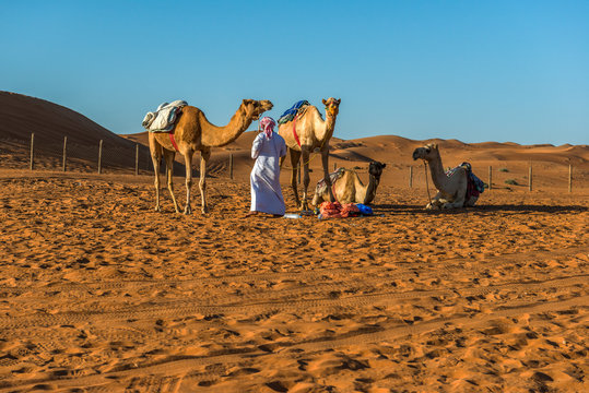 「Karawana」の写真素材 | 188件の無料イラスト画像 | Adobe Stock