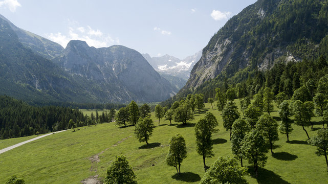 Fleich Bilder – Durchsuchen 489 Archivfotos, Vektorgrafiken und Videos ...