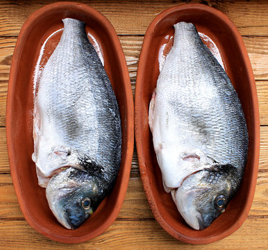 Chupra Images – Browse 16 Stock Photos, Vectors, and Video | Adobe Stock