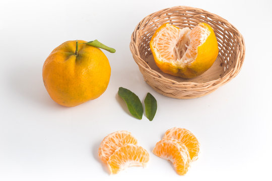 Pokan Images – Browse 42 Stock Photos, Vectors, and Video | Adobe Stock