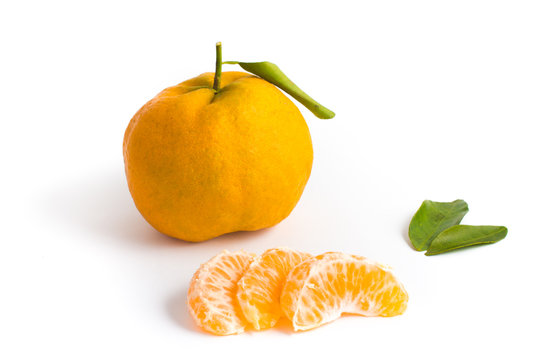 Pokan Images – Browse 42 Stock Photos, Vectors, and Video | Adobe Stock