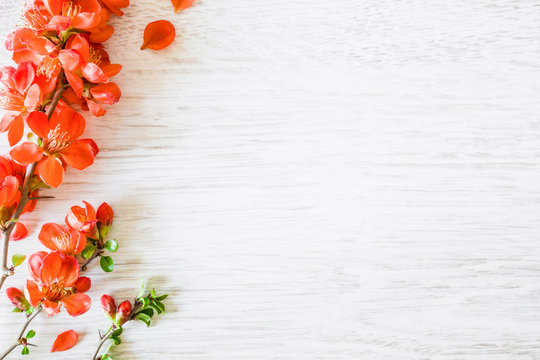 "Engagement Card" Bilder – Durchsuchen 570 Archivfotos, Vektorgrafiken ...