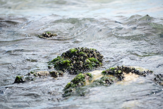 Meerwasser bilder – Bläddra bland 4,291 stockfoton, vektorer och videor ...