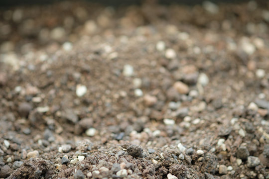 Lavalit Imagens – Procure 1 fotos, vetores e vídeos | Adobe Stock