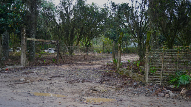 "Dirty Garden" Images – Browse 5 Stock Photos, Vectors, and Video ...