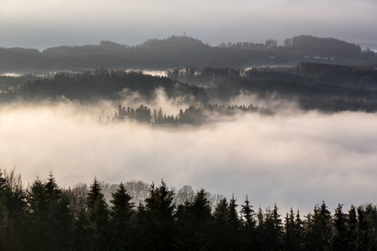 Obrázky Nebelig – procházejte fotografie, vektory a videa 13,439 ...