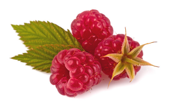 armash photos, images, assets | Adobe Stock