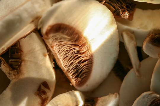 Gralion photos, images, assets | Adobe Stock