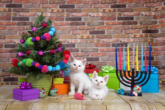 Chrismukkah Images – Browse 35 Stock Photos, Vectors, and Video | Adobe ...