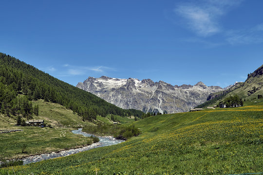 รูปภาพHimme – เลือกดูภาพถ่ายสต็อก เวกเตอร์ และวิดีโอ500 | Adobe Stock