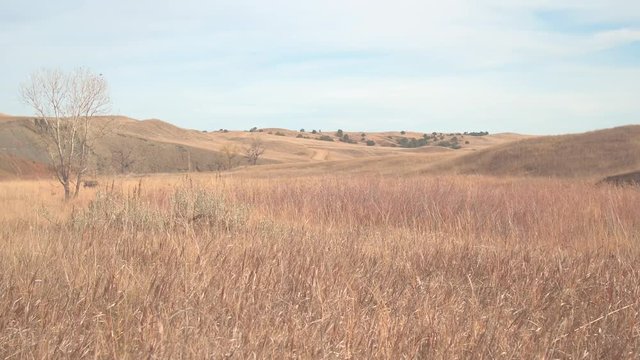 Arid Grasslands Images – Browse 8,249 Stock Photos, Vectors, and Video ...