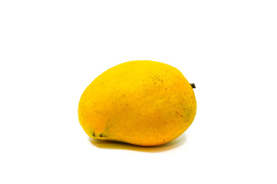 "Wild Mango" Images – Browse 508 Stock Photos, Vectors, and Video ...