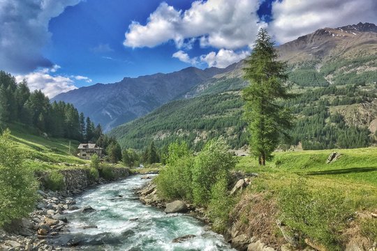 "Torrente 이미지 – 찾아보기 12,014 스톡 사진, 벡터 및 비디오 | Adobe Stock