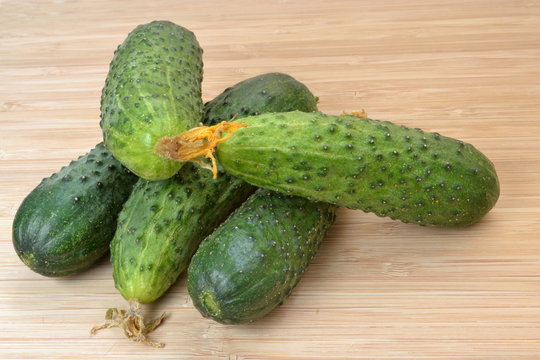 Korniszon bilder – Bläddra bland 115 stockfoton, vektorer och videor ...