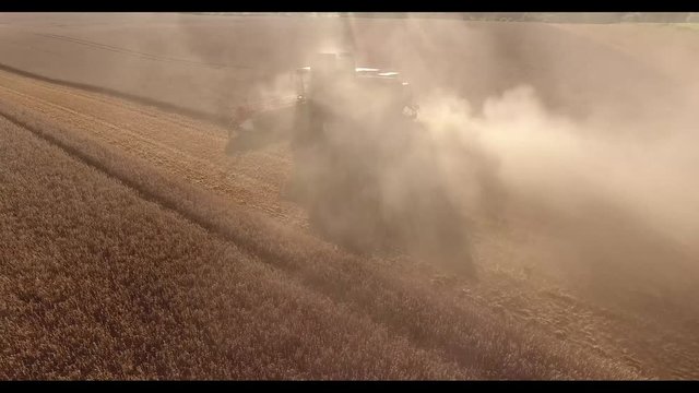 "Low Level" Bilder – Durchsuchen 7,704 Archivfotos, Vektorgrafiken und ...