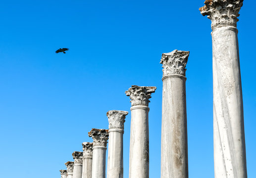 Coloumns Images – Browse 158 Stock Photos, Vectors, and Video | Adobe Stock