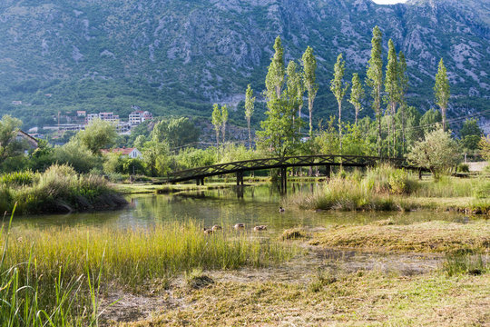 Morinj Images – Browse 34 Stock Photos, Vectors, and Video | Adobe Stock