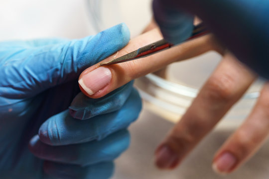 Shilak Bilder – Durchsuchen 36 Archivfotos, Vektorgrafiken und Videos ...